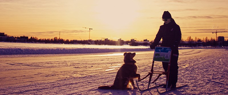 Experience Piteå - Visitors